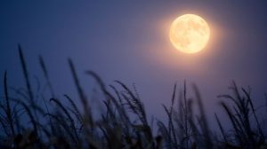What Color Is The Moon? The Mystery of Colors Solved - cityastronomy.com